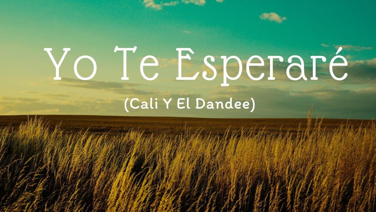 Cali Y El Dandee - Yo Te Esperaré (letra/Lyrics) - YouTube