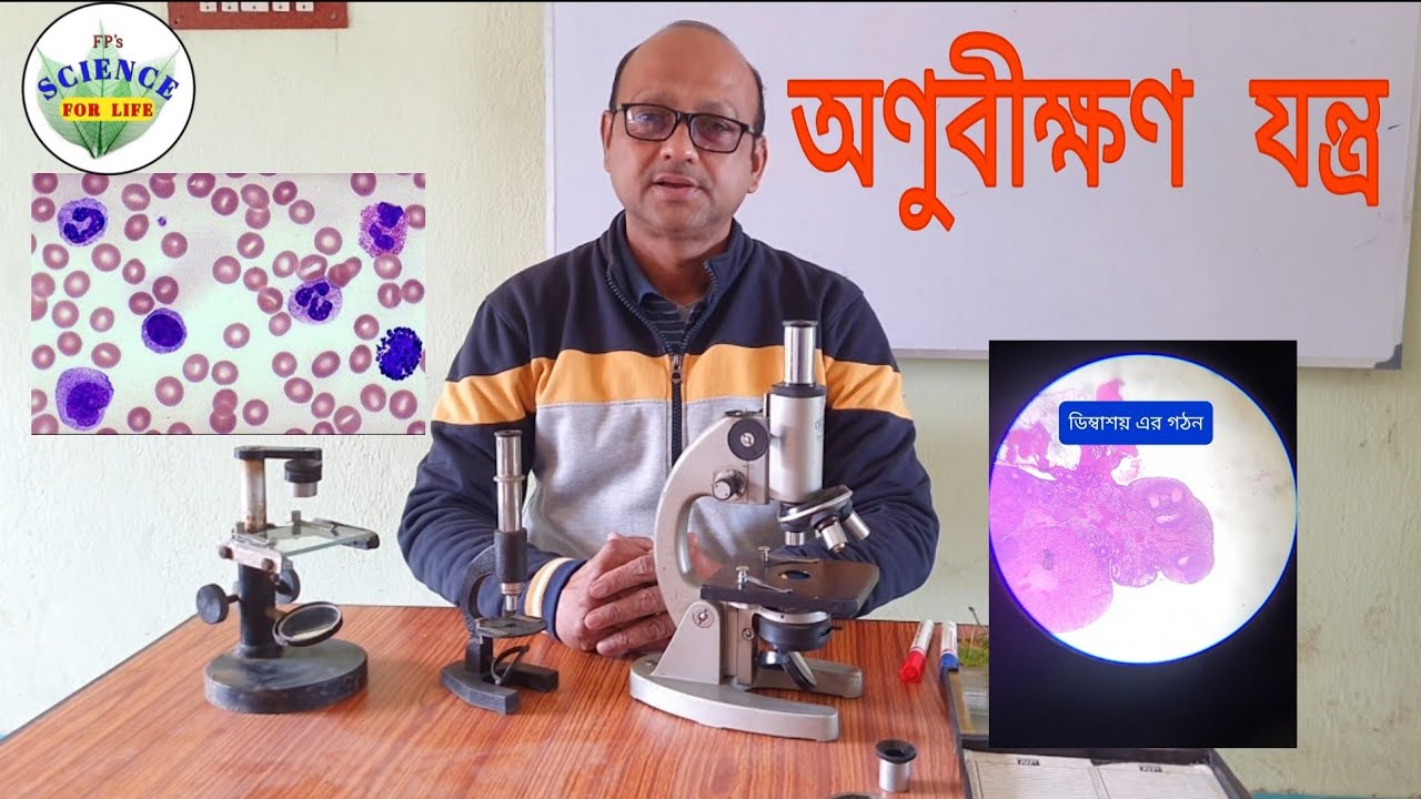 আলোক অণুবীক্ষণ যন্ত্রের গঠন । Structure of a light Microscope - YouTube