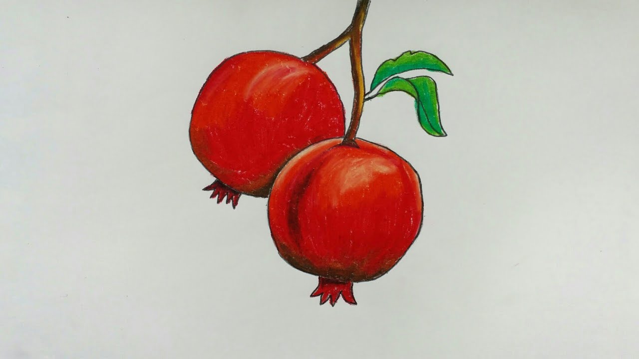 Pomegranate Drawing For Kids