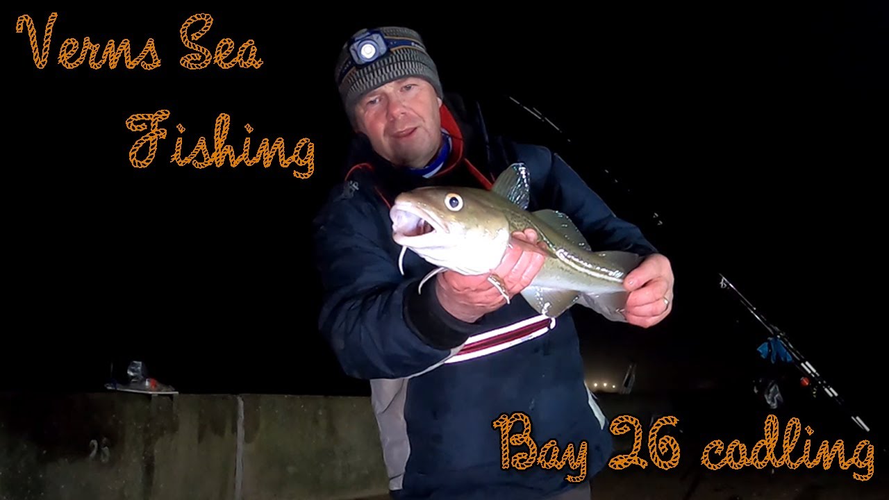 VERNS SEA FISHING | CATCHING CODLING IN BAY 26 AT THE RIVER HUMBER A ...