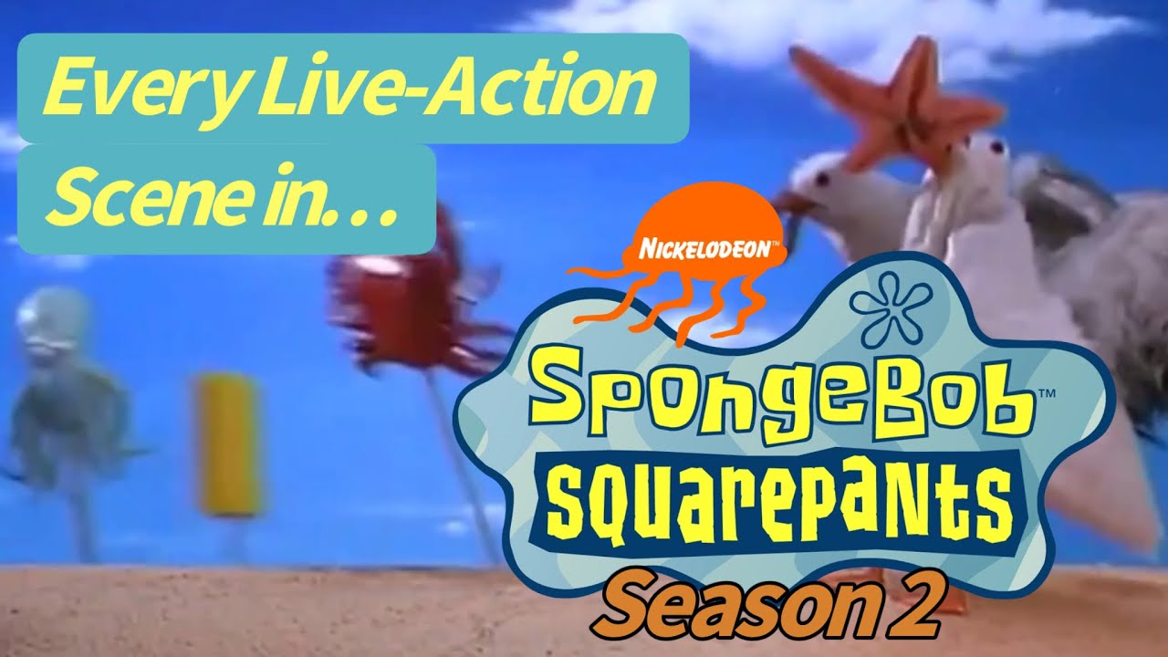 SpongeBob - Every Live Action Scene (Season 2) - YouTube