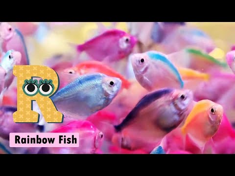 ABC Fish Song for Toddlers | Nursery Rhymes for Kids | Learn the ...