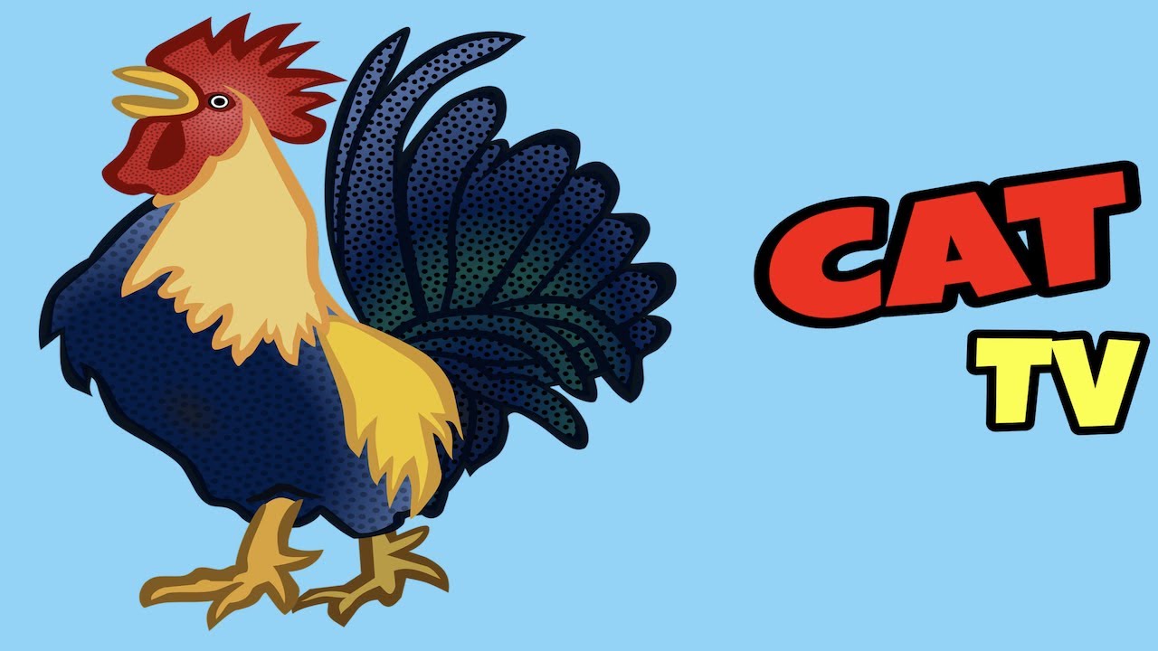 Rooster Sound For Cats | Prank Your Cat - YouTube