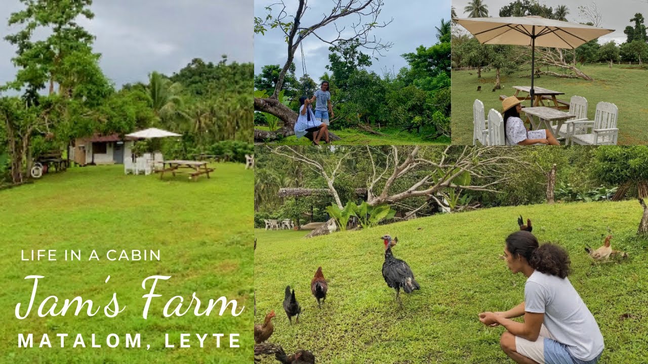 CABIN ESCAPADE || Jam’s Farm || Cabin in Matalom Leyte - YouTube