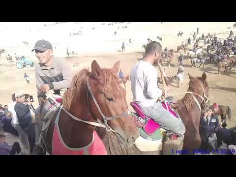 YAKKABOGʻ TUMANI UYGʻUR QUSHLOGʻIDAN YUSUF BOBO KATTA KUPKARI BERDI 2 QISMI 2025 11 01