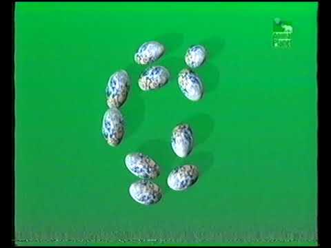 Animal Planet - fragment promo, spot i ident - 2004 - YouTube