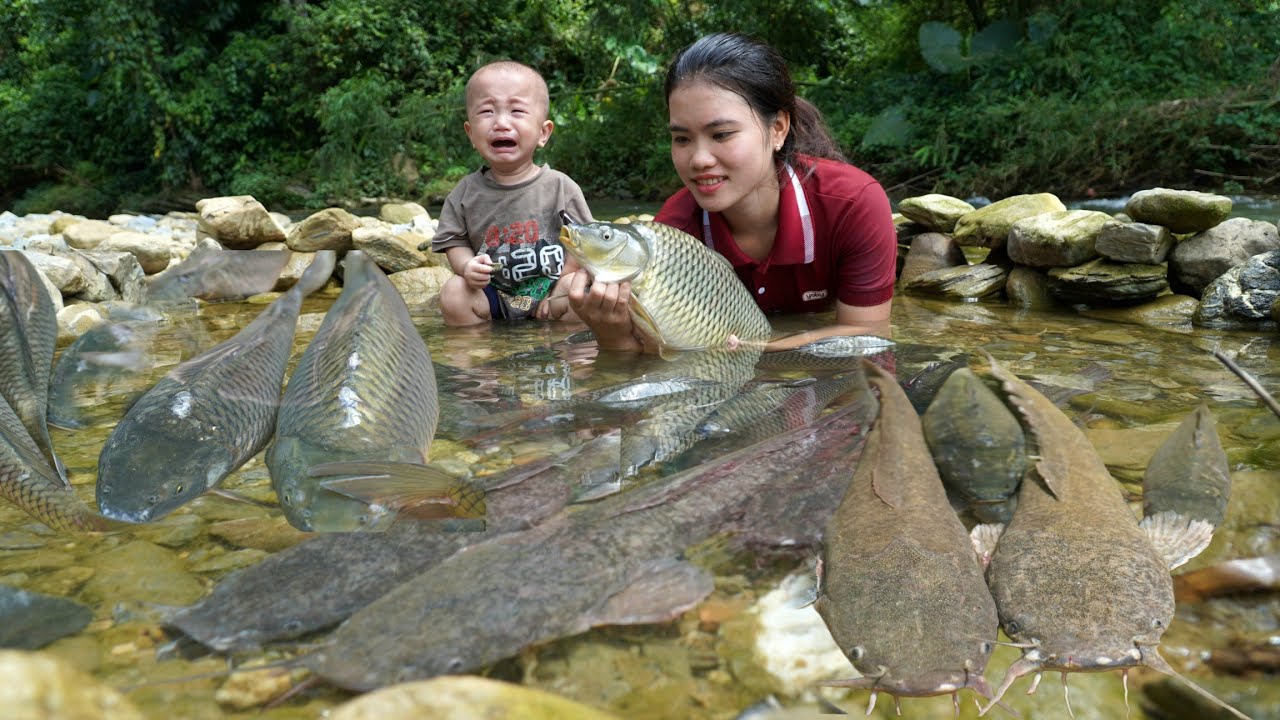 Encounter a huge school of Fish - Catch Fish with your kids on a hot ...