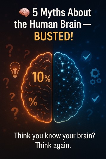 Brain Myths! #trivia #facts #quiz #sciencefacts #science #history # ...