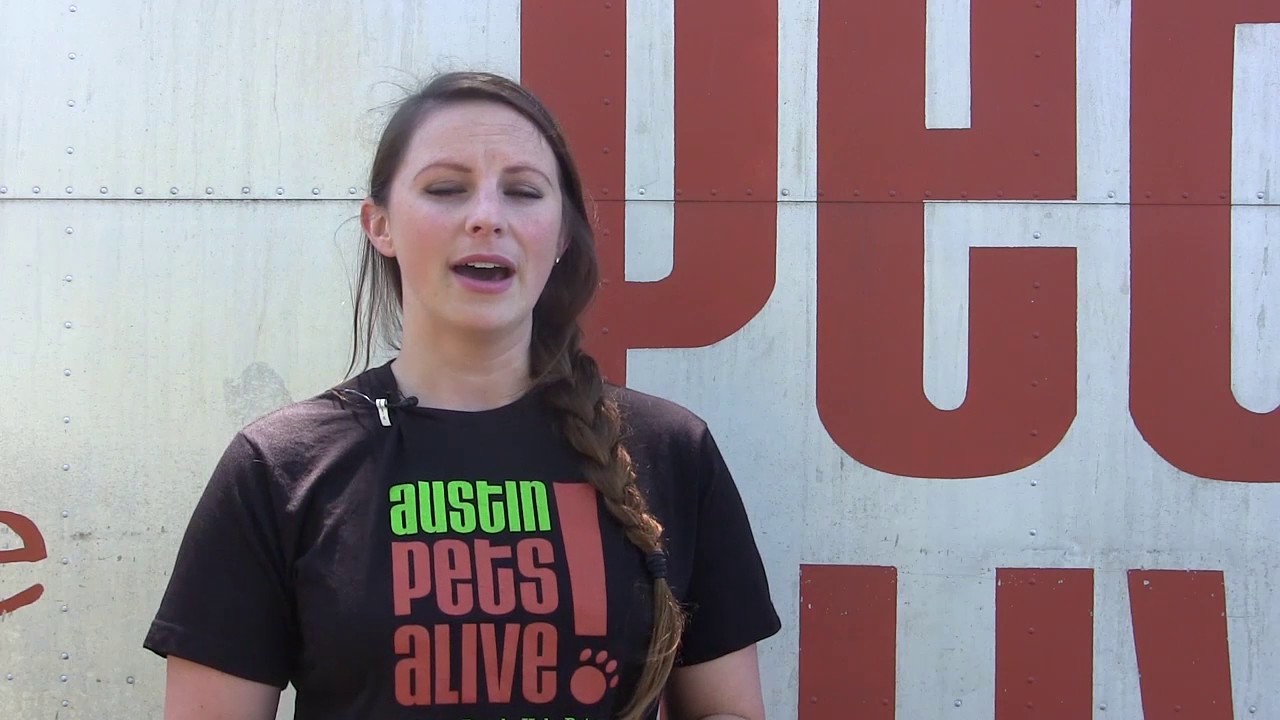 Austin Pets Alive By Savannah Schoffstall - YouTube