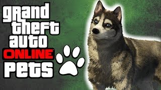 Gta 5 Pets