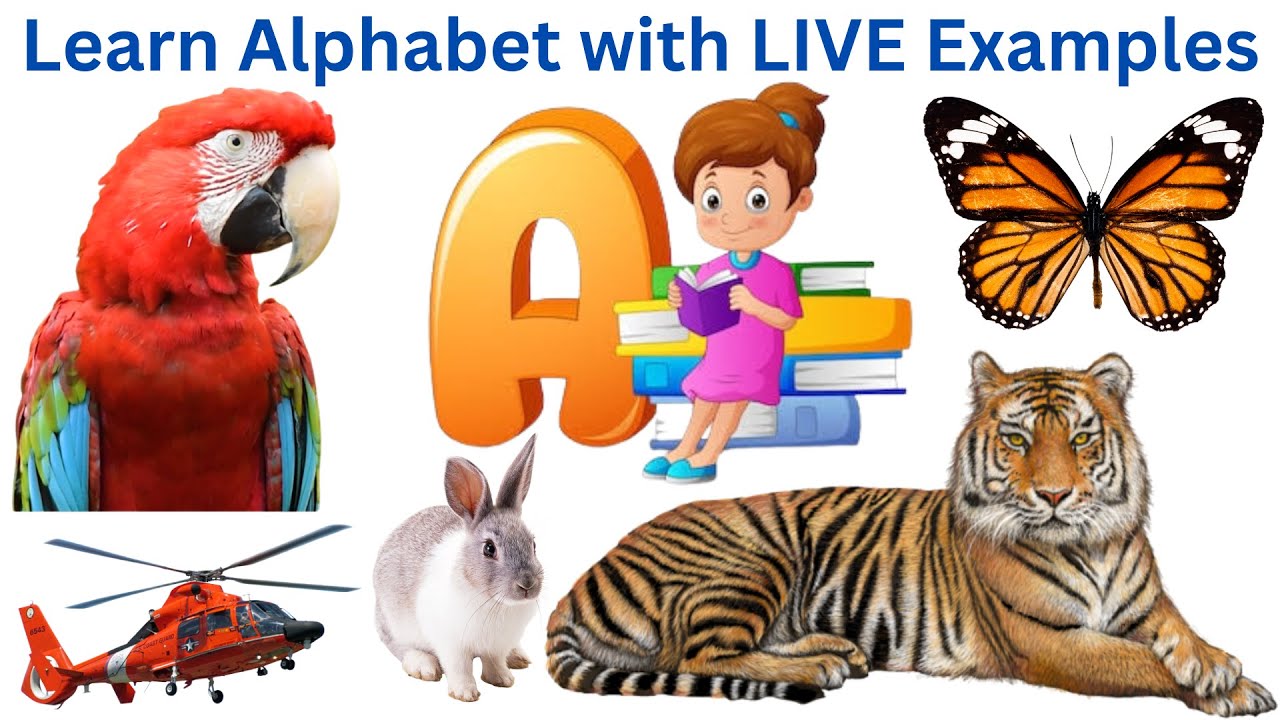 R FOR RABBIT | Learn ABCD With Live Examples | ABCD -Butterfly, Camel ...
