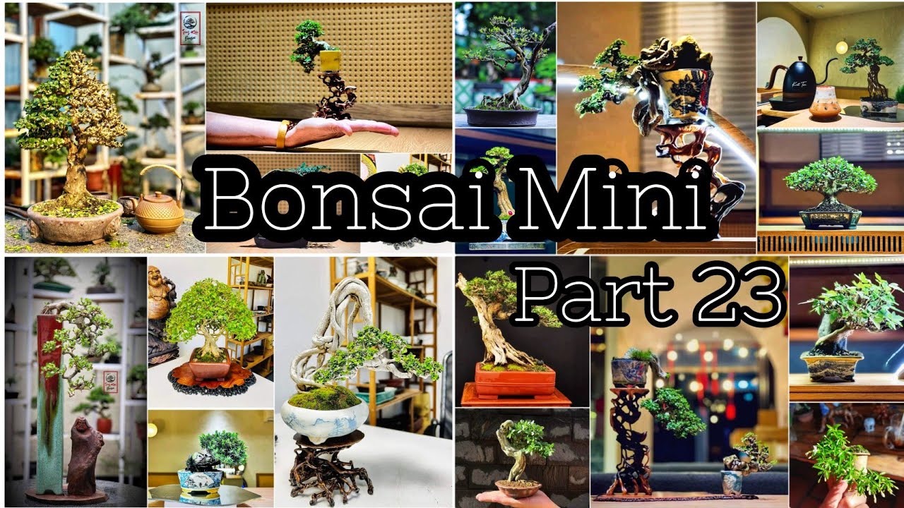 Những tác phẩm bonsai mini để bàn || Bonsai mini part 23 ...