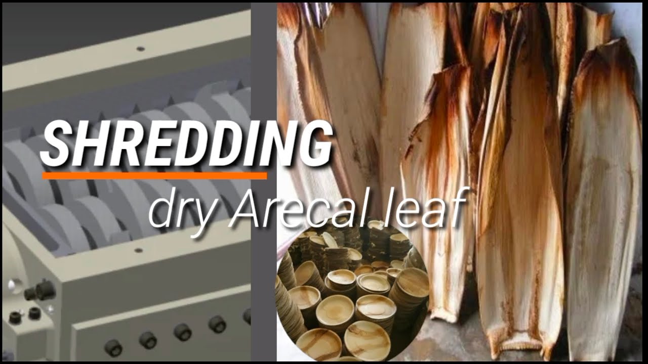 Dry Areca leaf shredder - YouTube