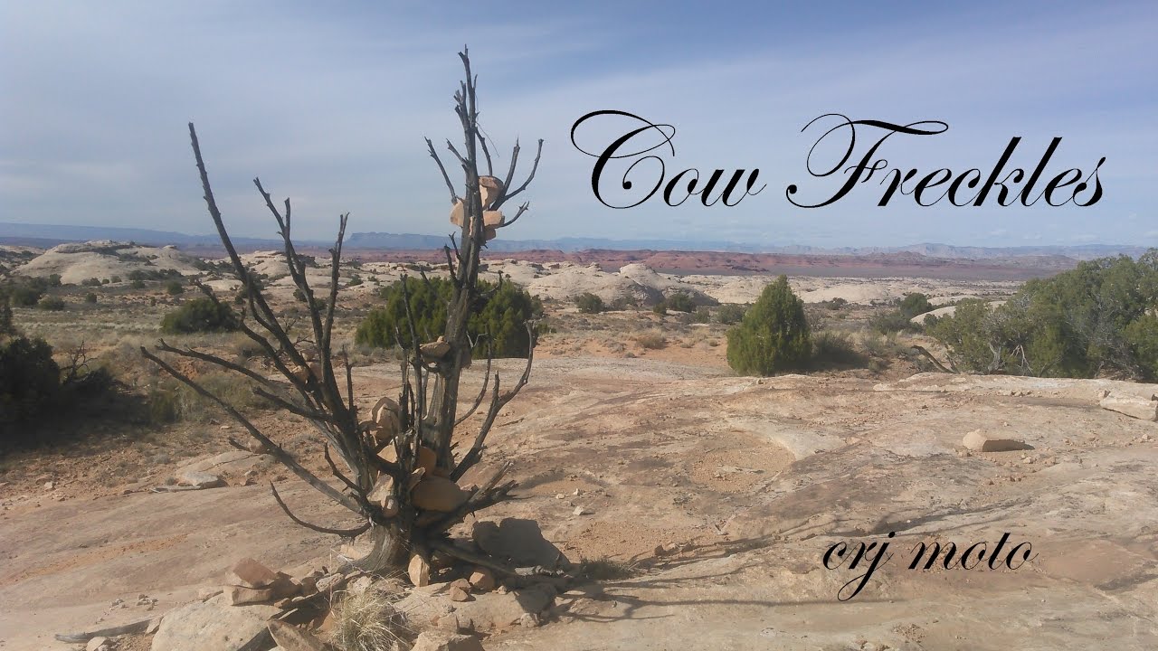 Moab - Cow Freckles wr250f, 300 exc - YouTube