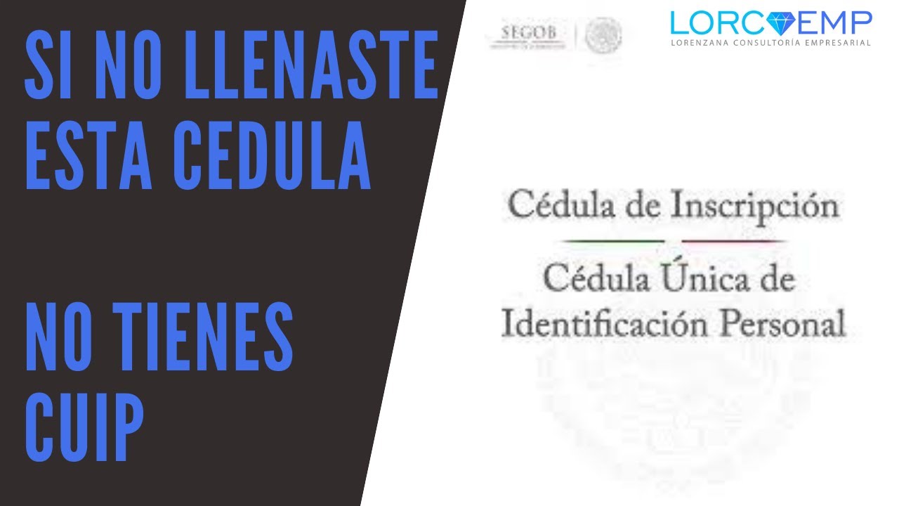 Este es el Formato para obtener tu CUIP en EMPRESAS de SEGURIDAD ...