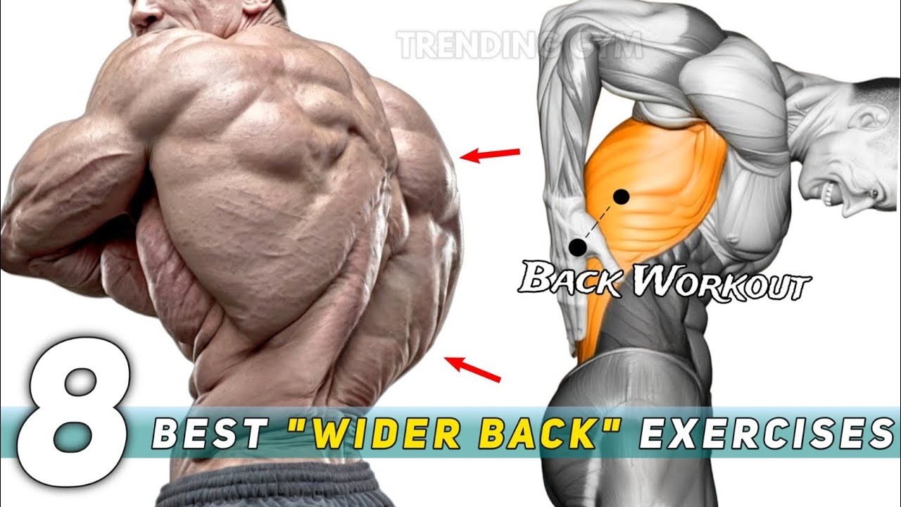 8 Biggest Back Exercises You Need to Know - Back Workout - YouTube