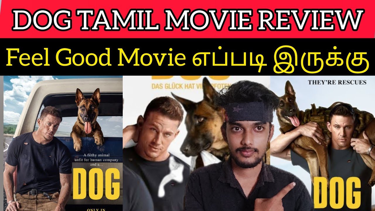 Dog 2022 New Tamil Dubbed Movie Review by Critics Mohan | Dog Review ...