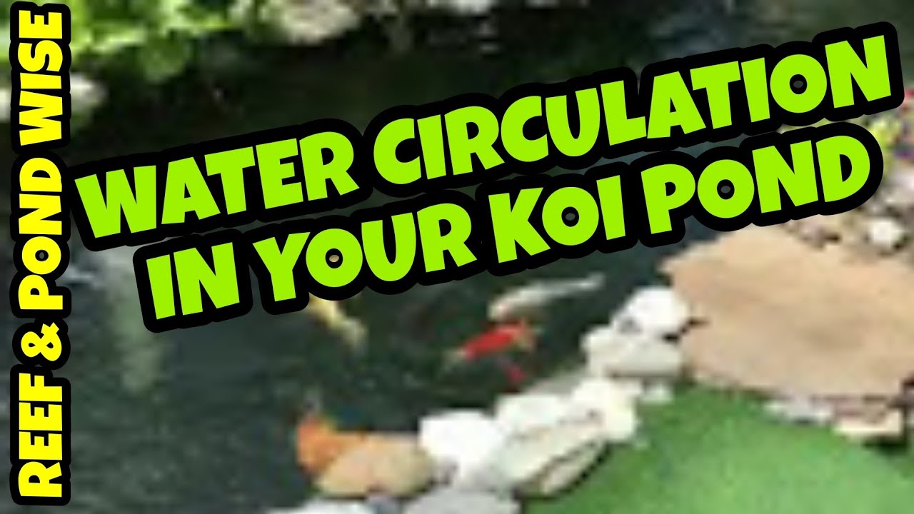 Water CIRCULATION in koi POND. - YouTube