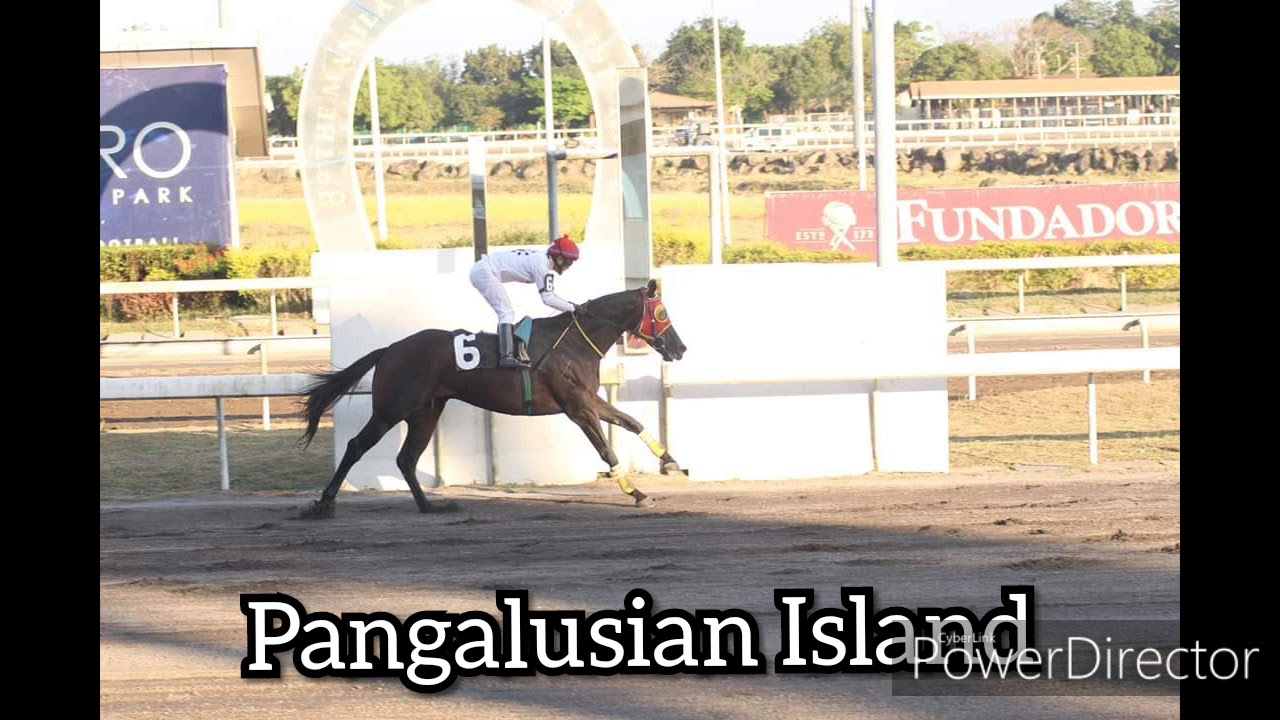 2019 47th PCSO Presidential Gold Cup - YouTube