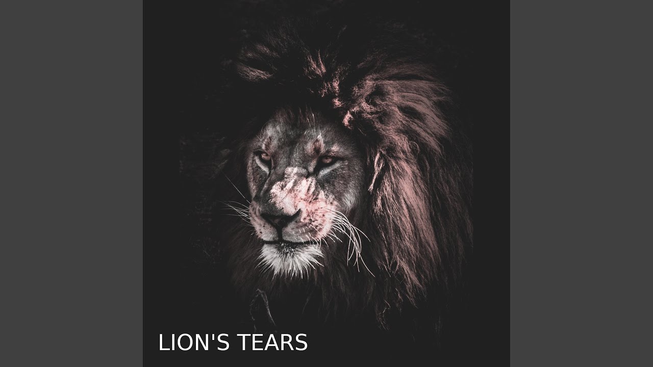 Lion's Tears - YouTube