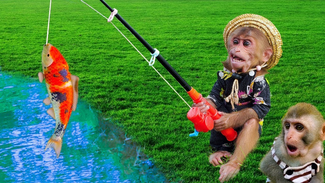 Memes that my monkey fished up for me - YouTube