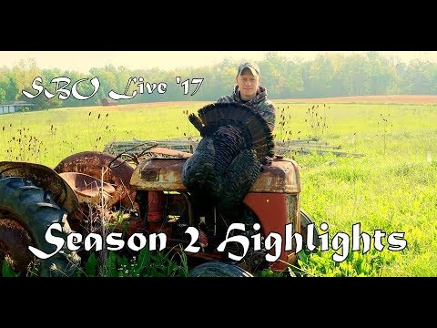 SBO LIVE Season 2 Highlights | SBO SHORT FILMS - YouTube