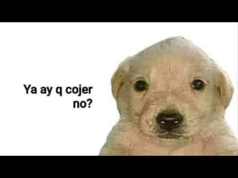 Shitpost compilation 41 - YouTube