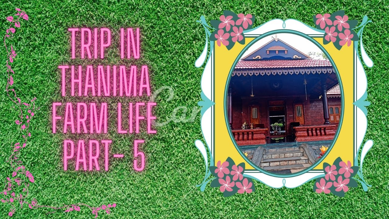 நம்ம ஊர் /epsiode 91/ trip on thanima farm life part- 5 - YouTube