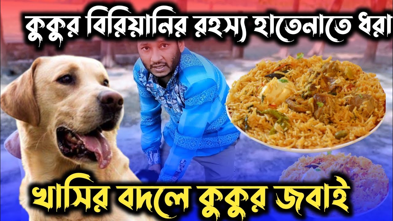 কুকুর বিরিয়ানি আসল রহস্য হাতেনাতে ধরা খেল | Khulna Dog-Meat Biryani ...