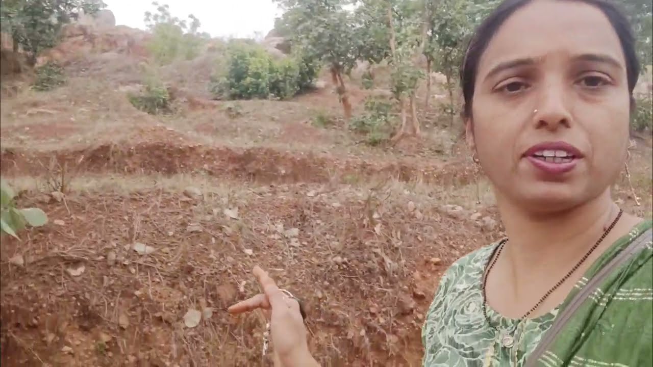 India🇮🇳Ke Gav Ke Pahadi🥰#vlog #sakoli #tuliresort#fun#vilageview#pahadi ...