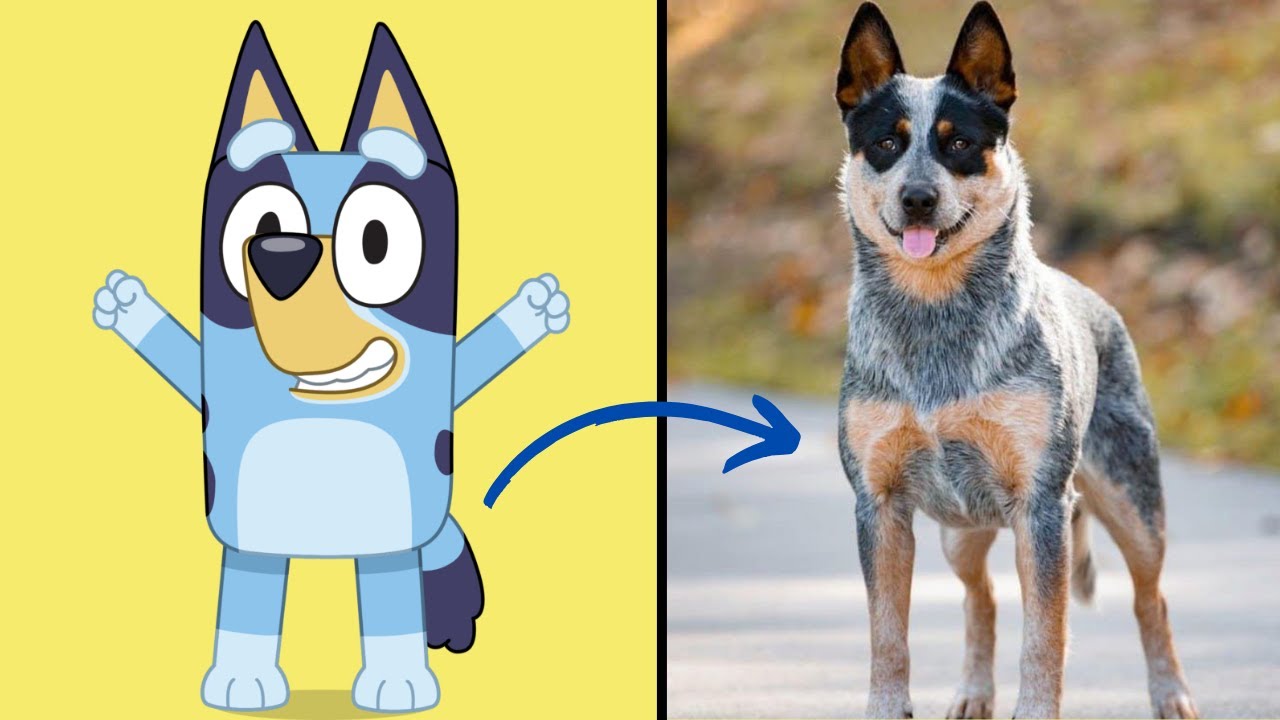¿Y si BLUEY fuera REAL? Así lucirían sus personajes! - YouTube