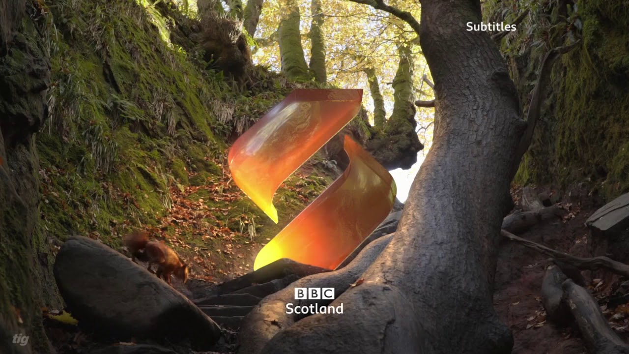 BBC Scotland Ident | Squirrel | 2019 - YouTube