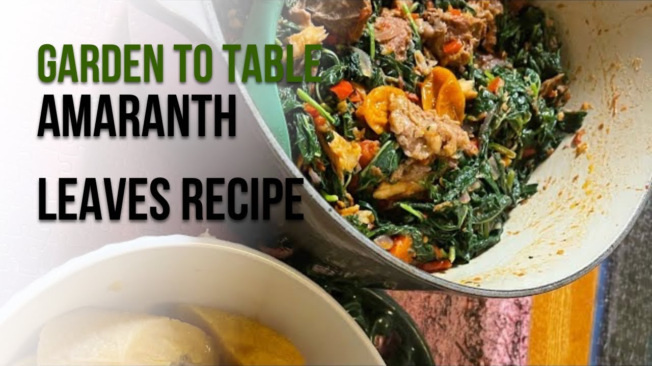 How to Cook Amaranth (Tete, Green) Leaves - Farm to Table 2023| Easy ...