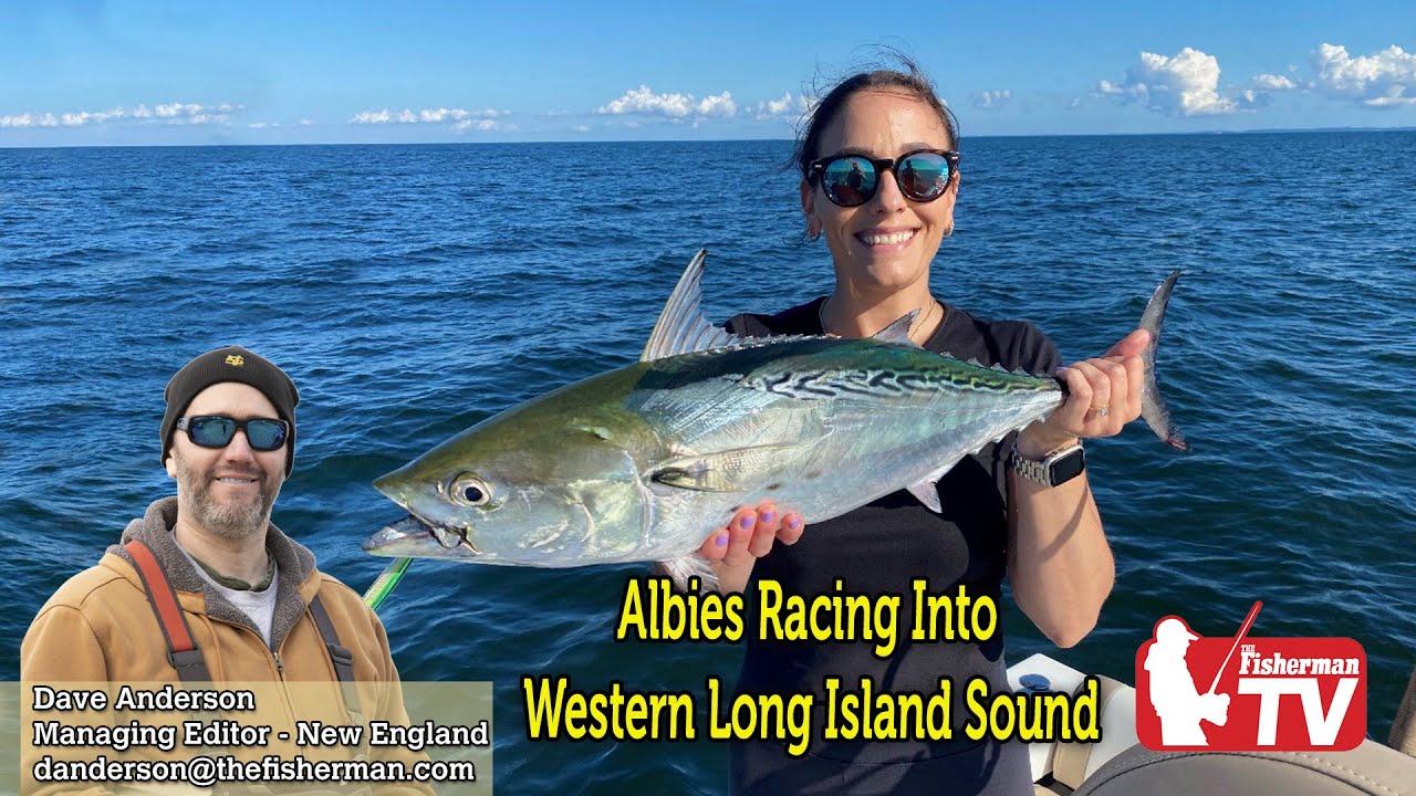 Forrest Gump Wave Gif Fishing