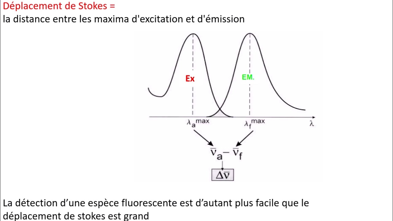 Fluorimétrie Principe et dosage - YouTube
