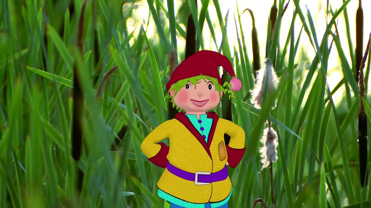 Wędrówki Skrzata Borówki - odc. 6 - Staw - YouTube