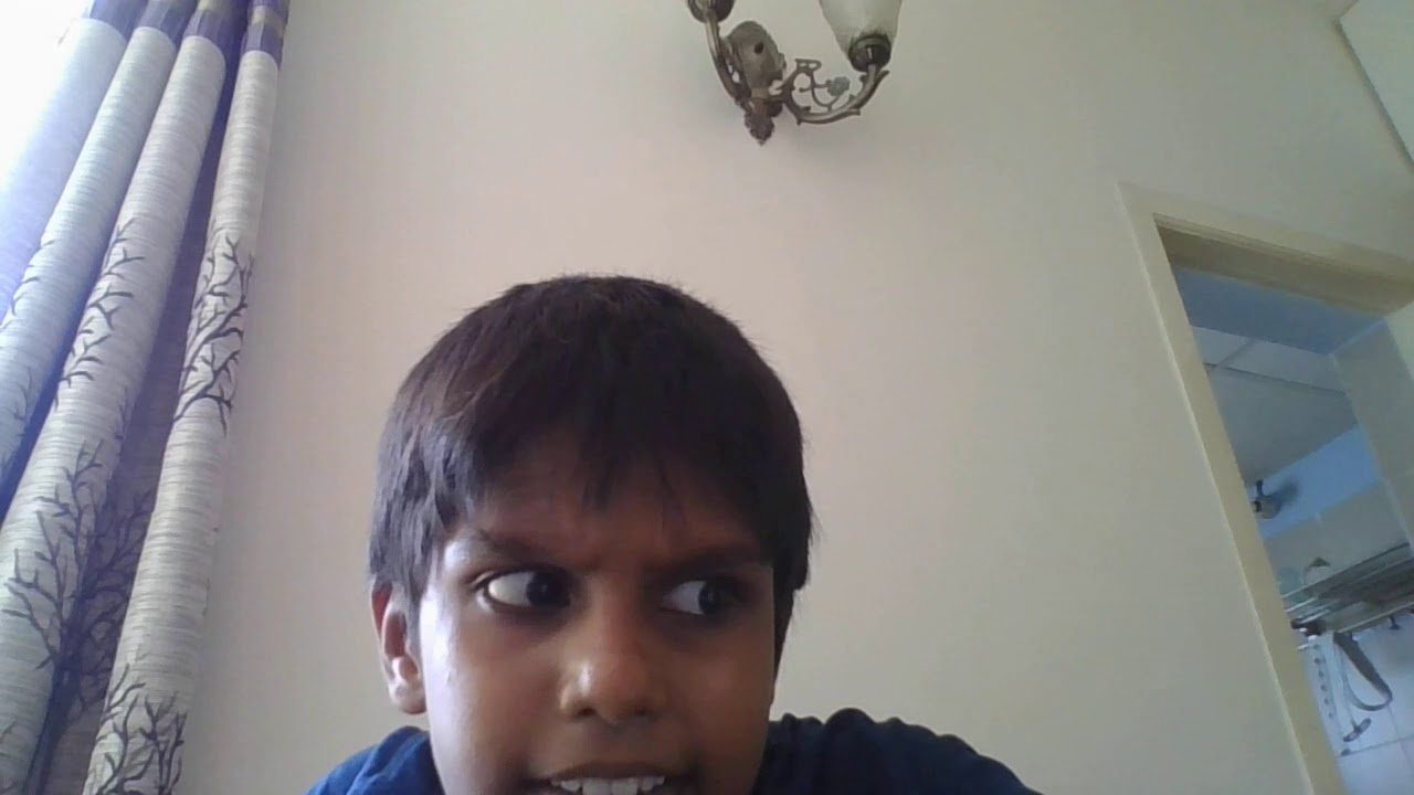 Class 7 ncert english poem the squirrel by Mildred Bowers Armstrong ...