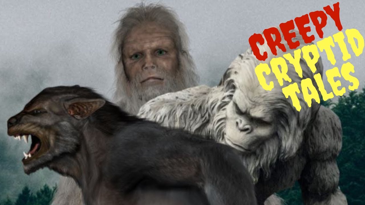 Creepy Cryptid Tales to Make You Wonder - Are Cryptids Real? - YouTube