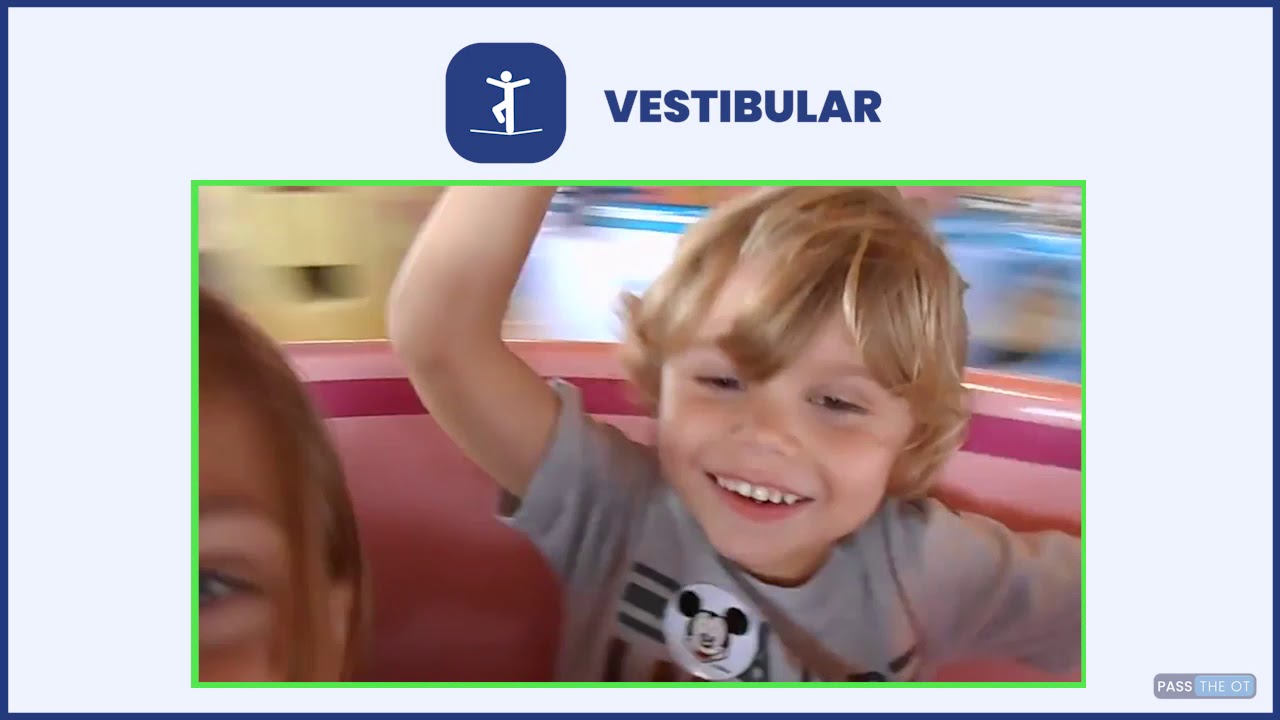 Sensory Integration | Study Prep for passing the NBCOT® Exam | Pass the ...