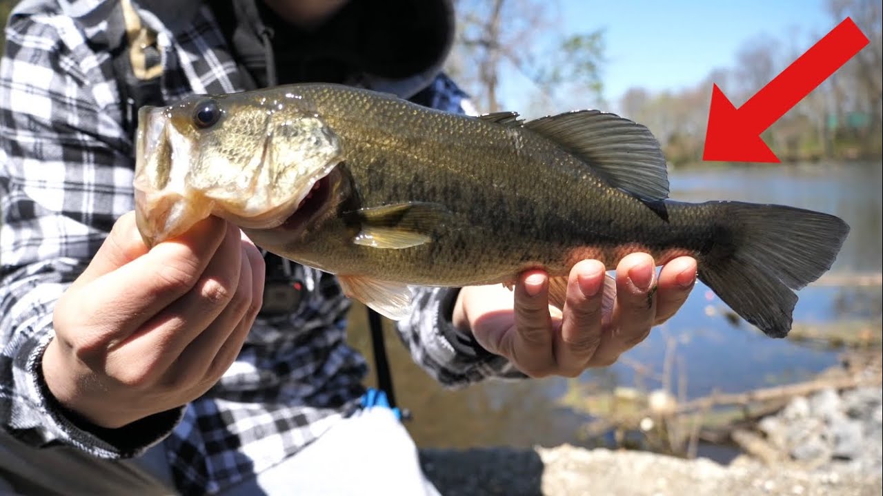 Finding success Fishing NJ Lake📍// Early Spring Fishing 2022 - YouTube