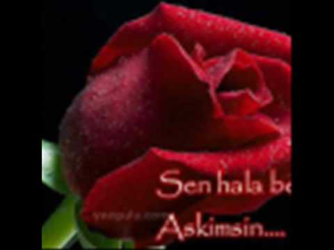 Aldı Gitti-Yasemın GOKSU (qont_ßraders )