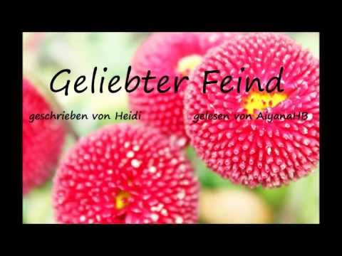Beloved Enemy (FF) - Chapter 14 (by Heidi, read by AiyanaHB)