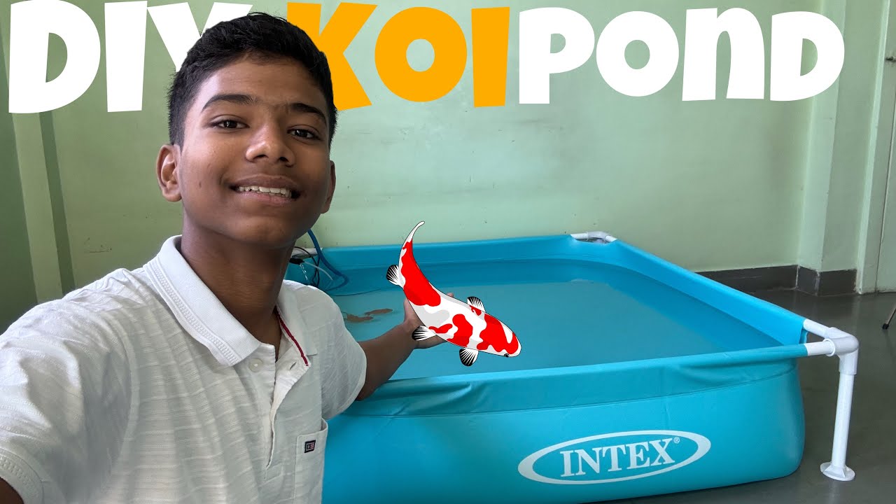 Diy Koi Fish Pond😍Diy Filtration System - YouTube