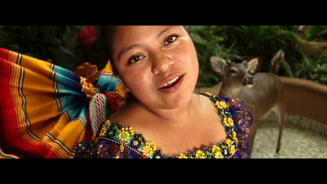La Boda - Angélica Lobos | Video Oficial - YouTube