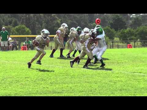 Horse collar ish