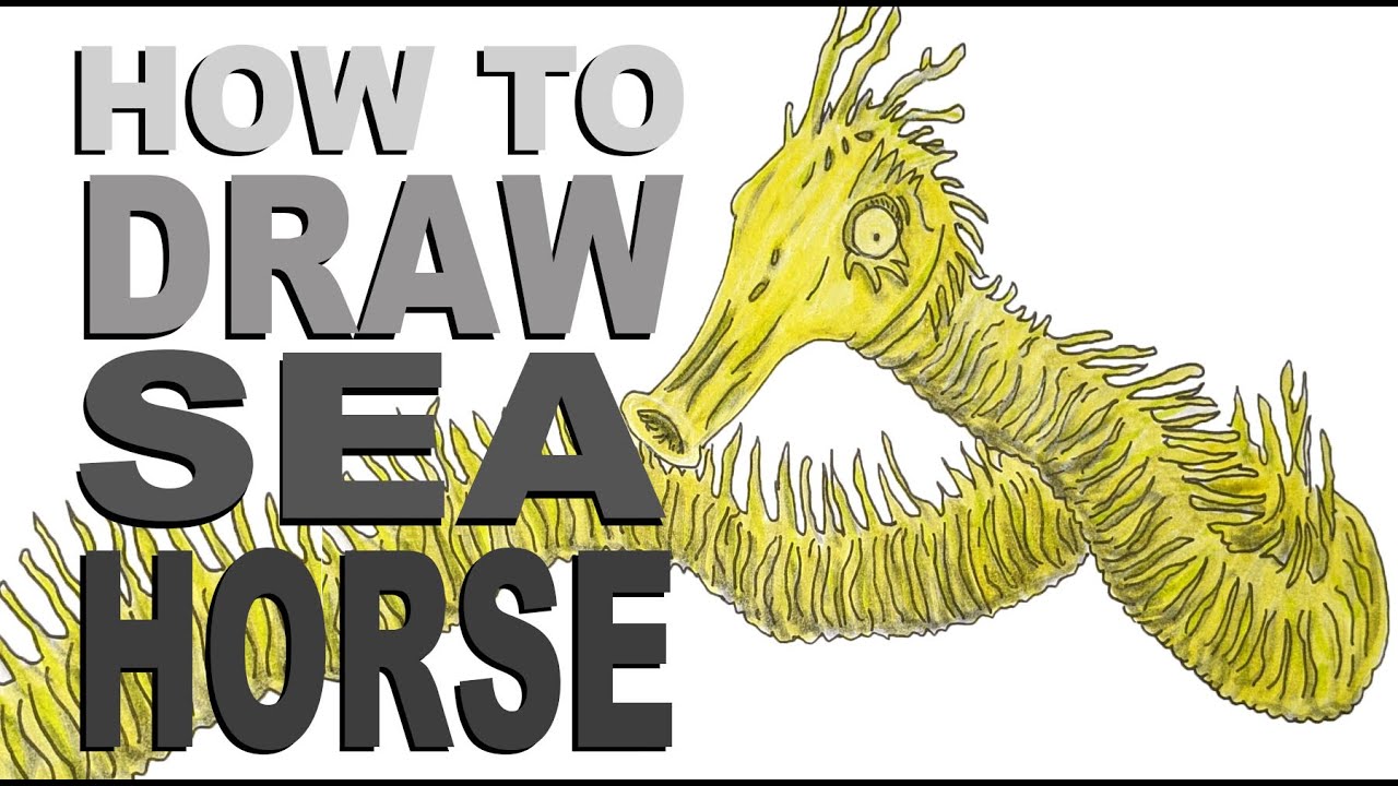 How to draw Sea Horse (Leonvincible) - YouTube