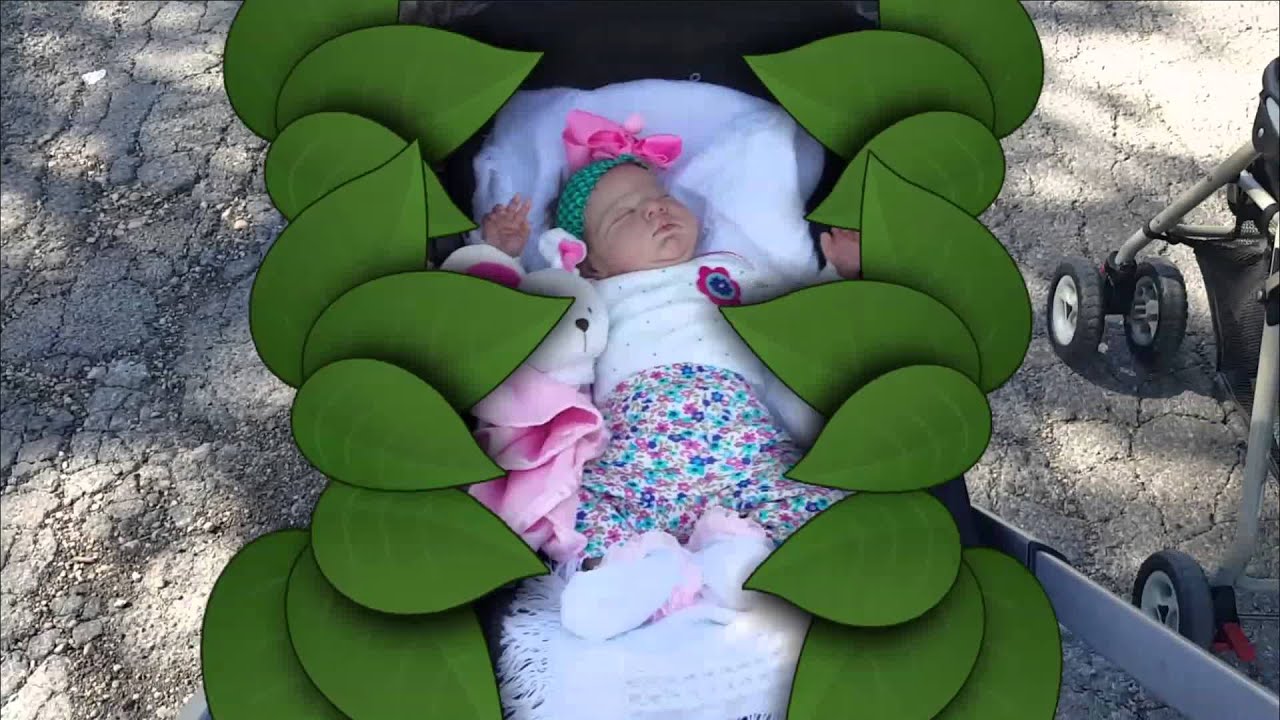 A Walk With The Babies & Kimber & Kathy! - YouTube