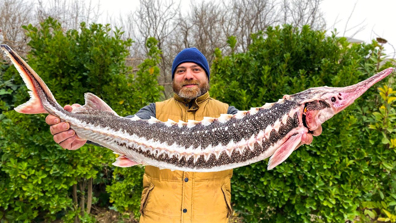 Incredibly Delicious STURGEON Cooked Under a thick Layer of SALT in the ...