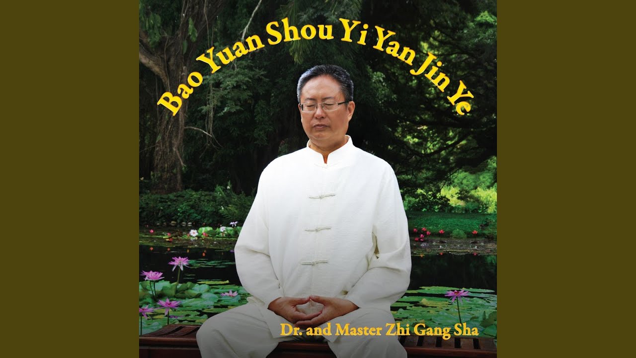 Bao Yuan Shou Yi Yan Jin Ye - YouTube