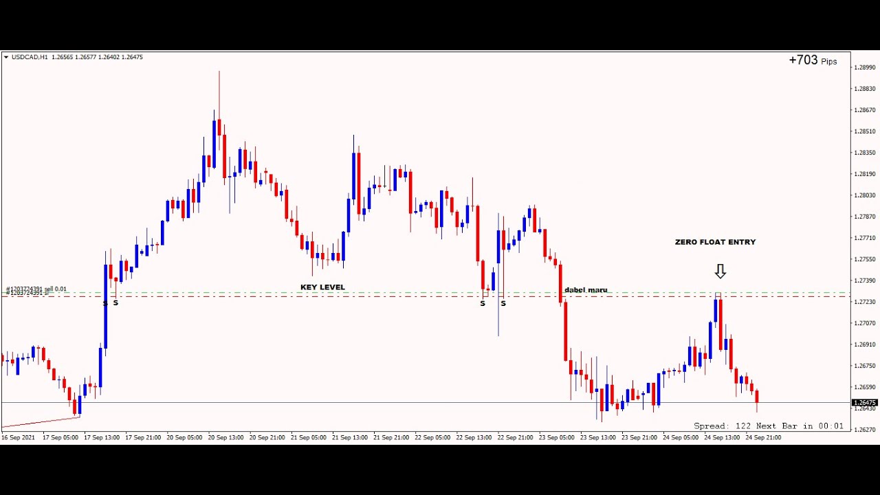 ZERO FLOAT ENTRY dengan setup DOUBLE MARU #zerofloatentryforex #candlestick #analisaforex # ...